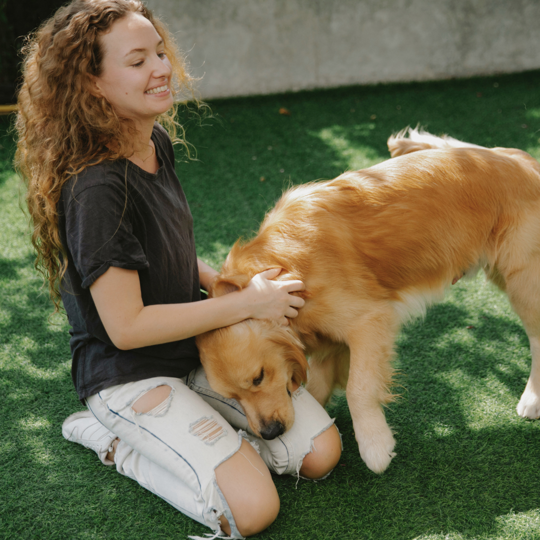 ABOUT - Hooper Pooper Scooper